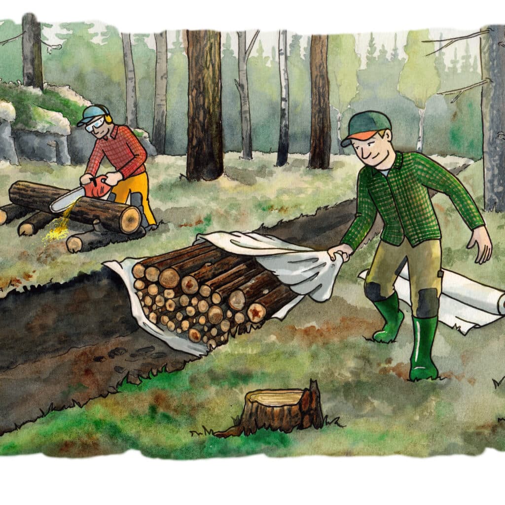 Viva vatten – Proppa ett dike i skogen - Naturskyddsföreningen