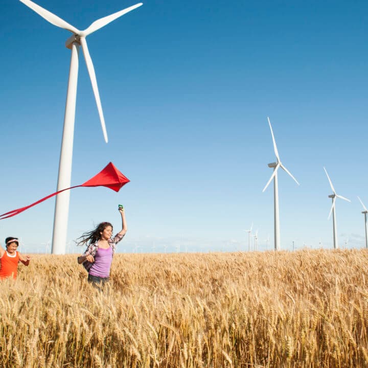 Framtidens energi - Naturskyddsföreningen