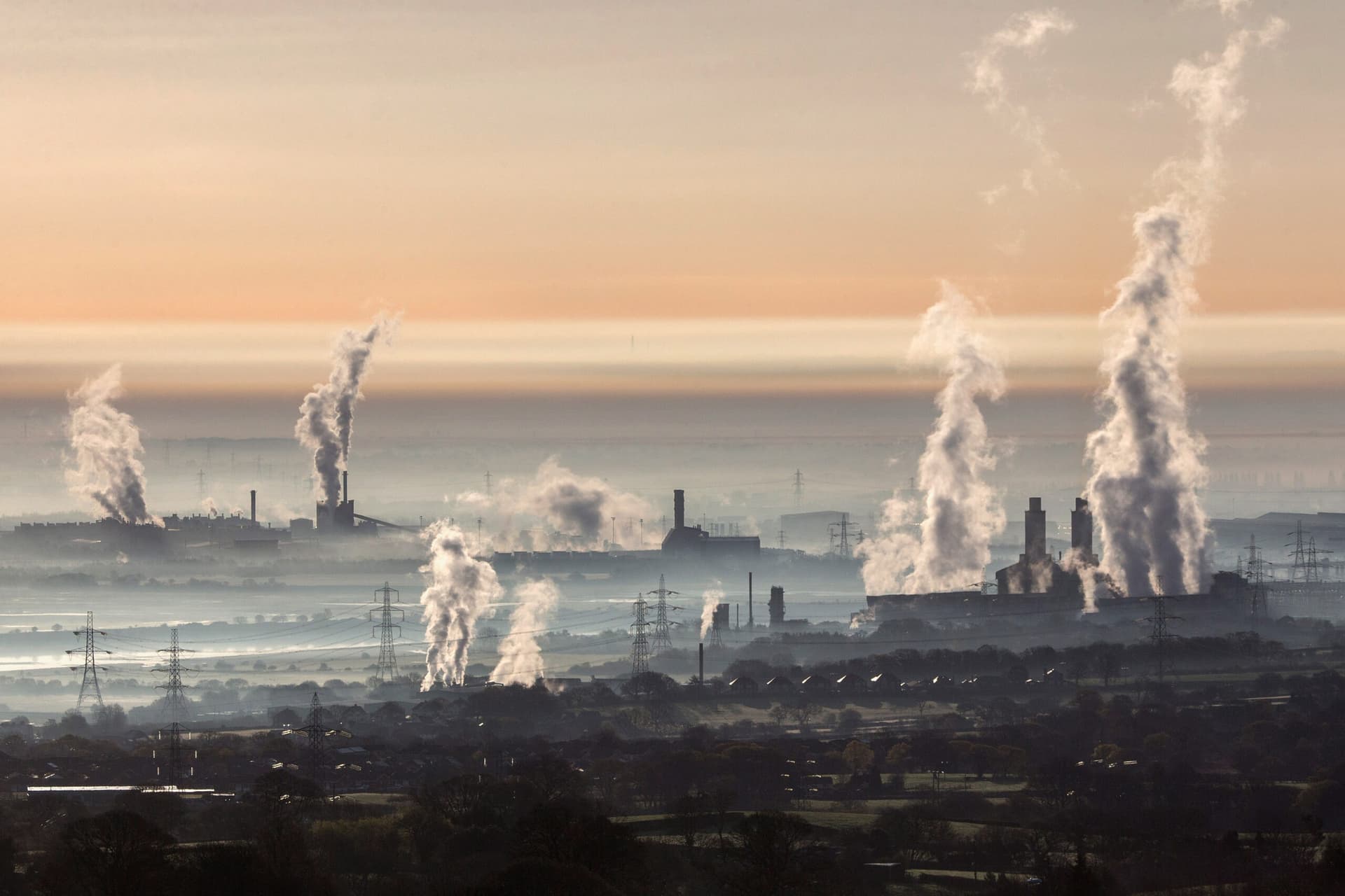 5 snabba fakta om Preemraff - Naturskyddsföreningen