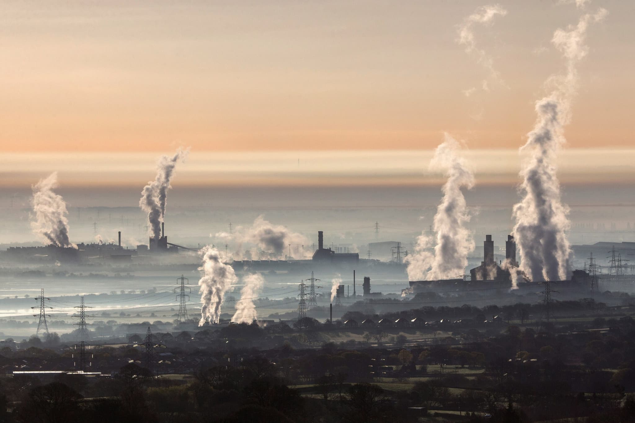 5 snabba fakta om Preemraff - Naturskyddsföreningen