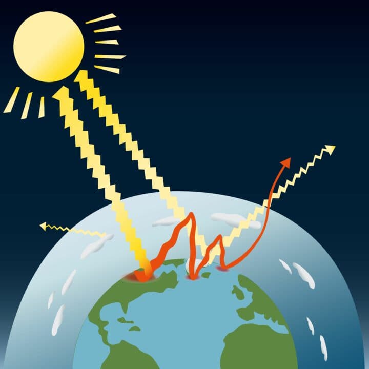 Kolets kretslopp och människans påverkan - Naturskyddsföreningen