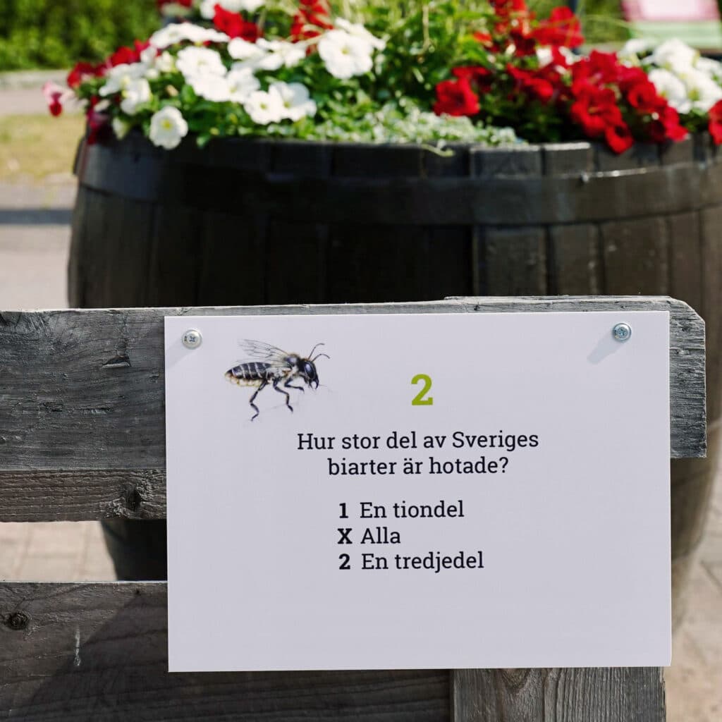 Ordna en tipspromenad - Naturskyddsföreningen