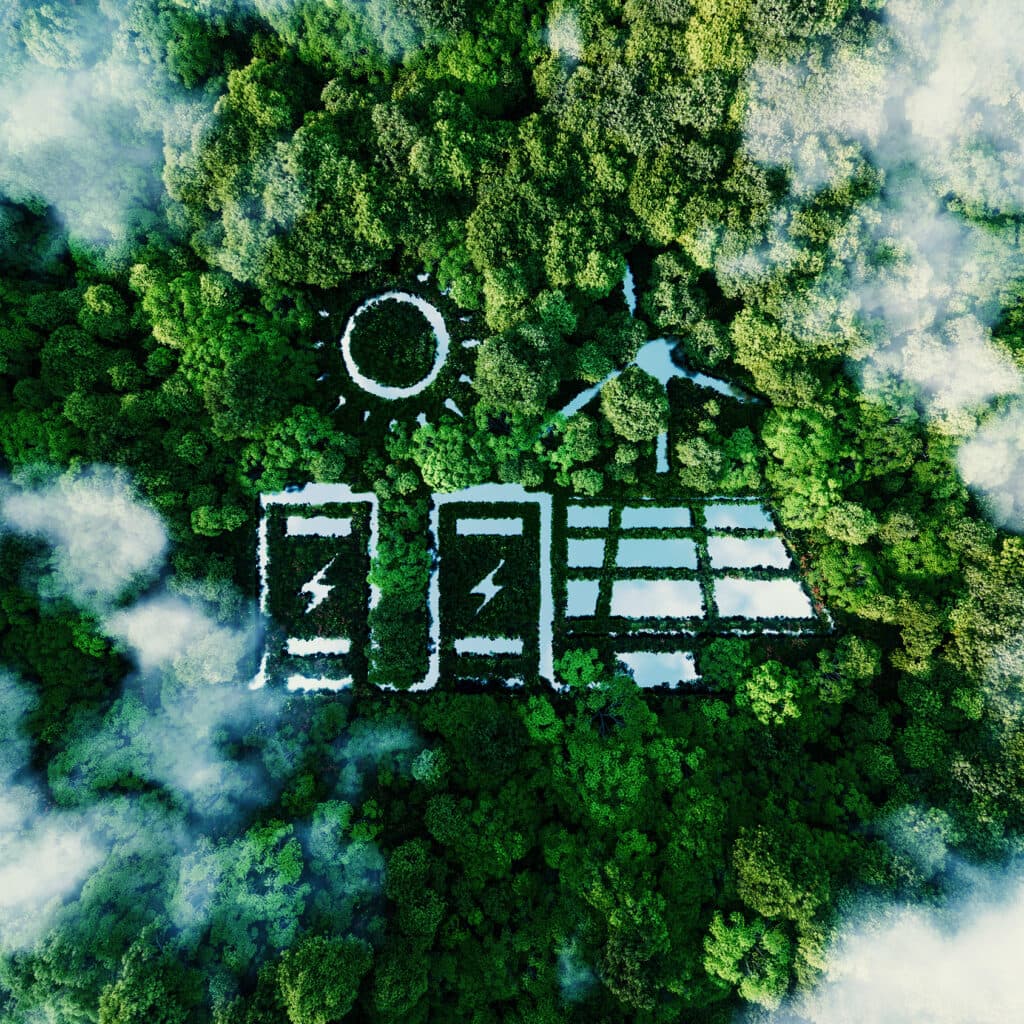 Framtidens energi - Naturskyddsföreningen