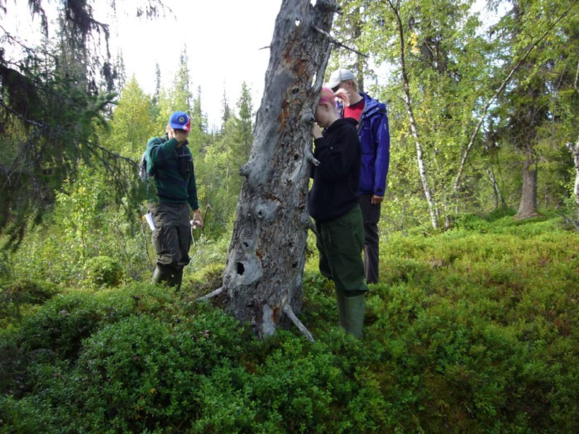 Engagera dig - Naturskyddsföreningen