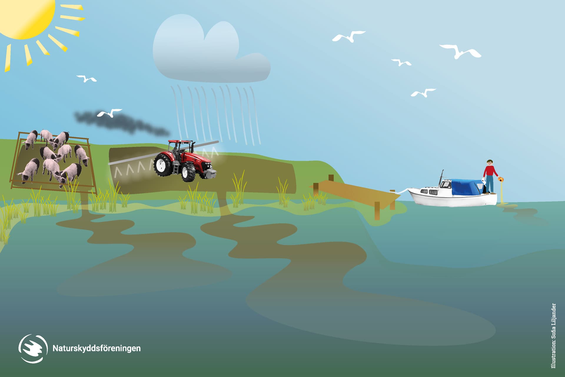 Koll på Östersjön (4-9) - Naturskyddsföreningen