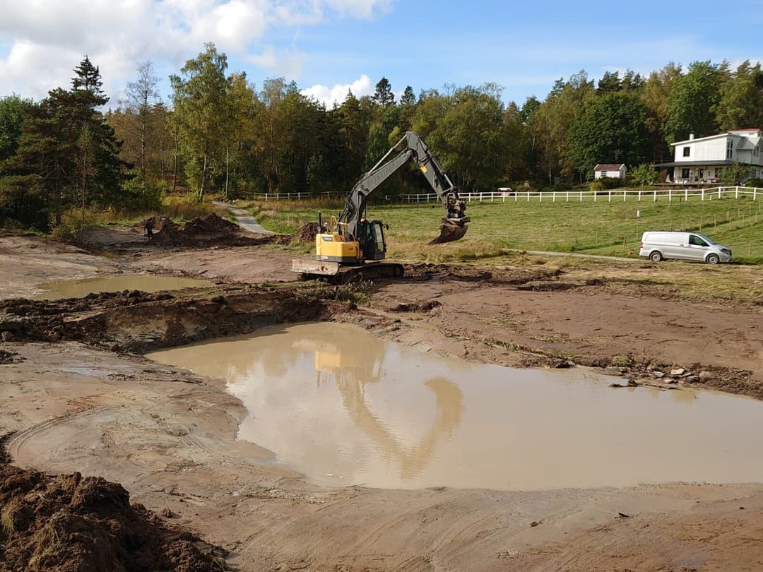 Restaurera och anlägga våtmark – tre lyckade våtmarksprojekt ...
