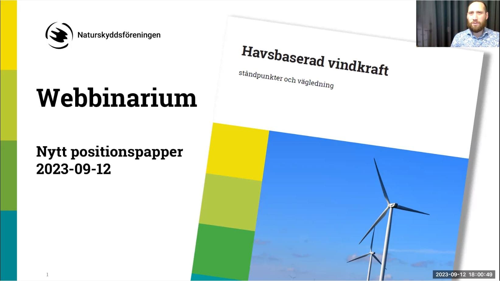 Positionspapper: havsbaserad vindkraft - Naturskyddsföreningen