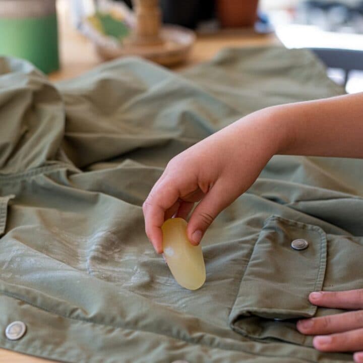 Engagera dig lokalt – idéer från hela landet - Naturskyddsföreningen