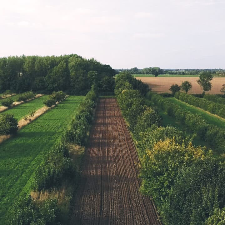Sveriges jordar - Naturskyddsföreningen