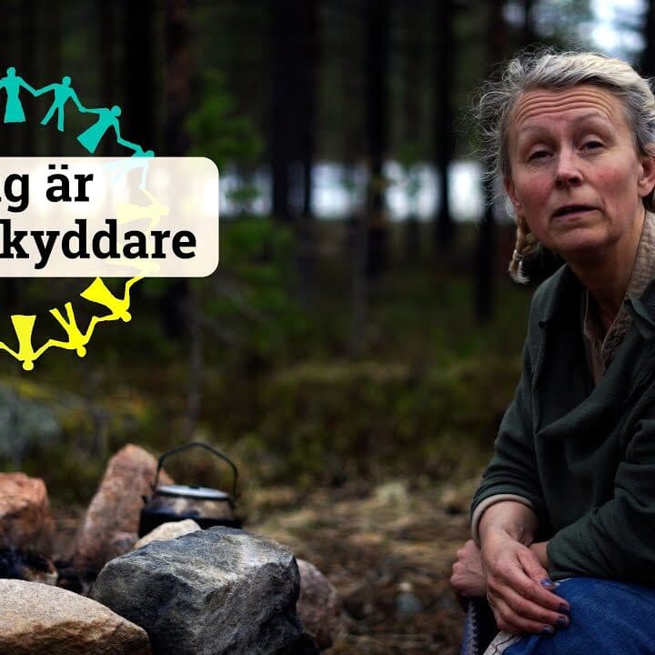 Nationell strategi för formellt skydd av skog - Naturskyddsföreningen