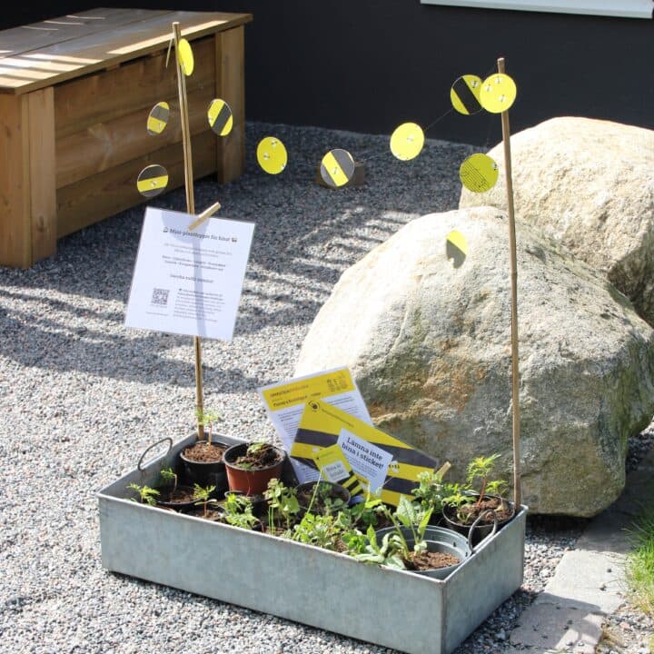 Ordna en skräpplockardag - Naturskyddsföreningen