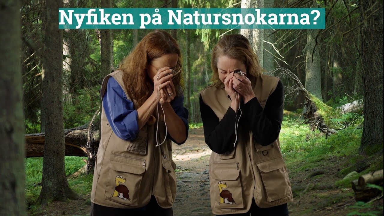 Vad är en kolsänka? - Naturskyddsföreningen