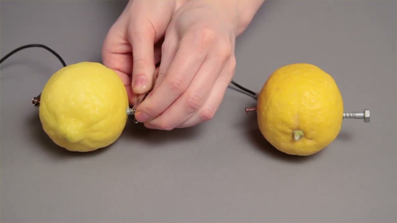 Citronbatteriet (4-9) - Naturskyddsföreningen